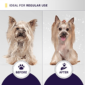 Hydra Professional Experience , Shampoo, Conditioner, and Sprays, Dog and Cat Grooming Supplies, 6-Bottle Set