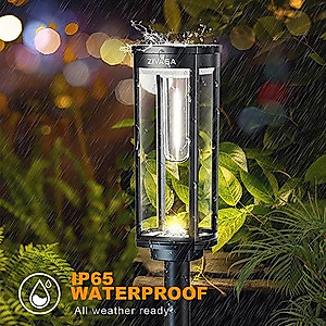 ZIVASA Solar Pathway Lights Outdoor Waterproof 8 Pack, 12H Lasting Solar Powered Lights for Outside, Auto On/Off Solar Garden Lights Solar Path Lighting for Yard Patio Walkway Driveway