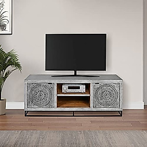 The Urban Port 63-Inch Handcrafted TV Media Entertainment Console, 2 Medallion Engraved Doors, Sandblasted Gray Mango Wood, Black Iron Stand