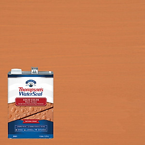 Thompson’s WaterSeal Solid Color Waterproofing Wood Stain and Sealer, Natural Cedar, 1 Gallon
