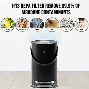SILVERONYX Air Purifiers for Home with True H13 HEPA Filter Bedroom Air Cleaner For Pollen, Allergies, Pet Dander, Hair, Dust, Odor, Sleep Mode 3-Speed Control, Portable Air Purifier, 3-Speed Black