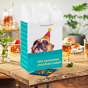 Hallmark 13" Large Birthday Gift Bag with Birthday Card and Tissue Paper (Dog, Did Someone Mention Cake?) for Kids, Parents, Coworkers, Friends