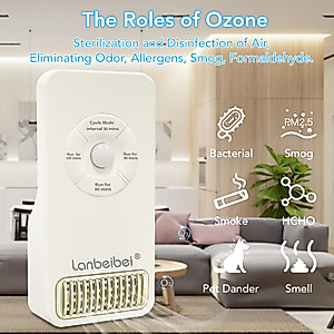 Ozone Air Purifier,Body Detection, Purifying Air and Eliminate Odor Thoroughly in Pet Room, Toilet, Shoe Cabinet, etc.