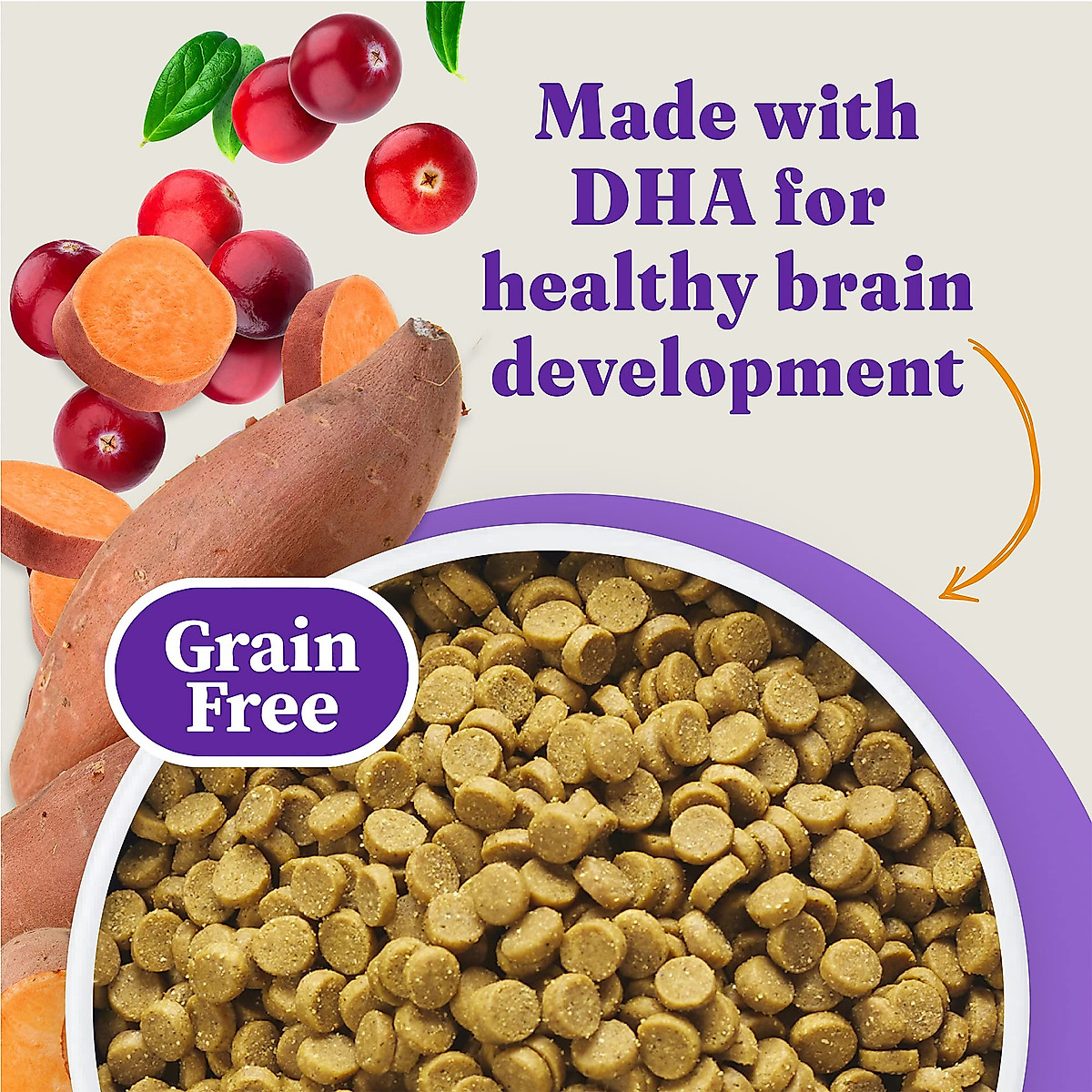 Halo Holistic Kitten Food Dry , Grain Free Wild - caught Salmon and Whitefish Recipe, Complete Digestive Health , Dry Cat Food Bag , Kitten Formula, 6-lb Bag