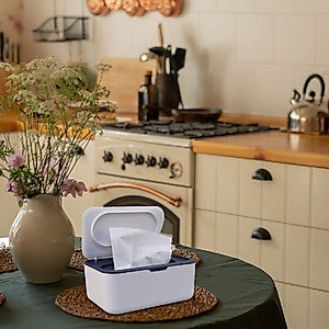 Beieverluck 2 Pack Baby Wipes Dispenser Wipe Holder with Lids Refillable Wipe Container Case for Bathroom Travel Wipe Holder Keeps Wipes Fresh (Grey and Blue)