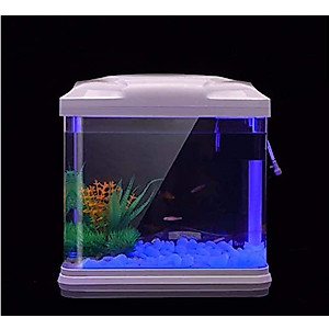 Oubest Glow in The Dark Pebbles/Glow Stones/Glowing Rocks Blue Decor for Garden/Fish Tank/Aquarium/Walkway/Driveway/Plant Pots/Bonsai (500, White)