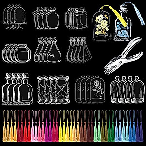 Tallew 81 Pcs Transparent Dried Flower Bookmarks Set, Include 40 Pcs Clear Floral Bookmark, Beautiful DIY Dried Flower Bookmark, with 40 Pcs Bookmark Tassels Colorful Tassels and Puncher for Reader