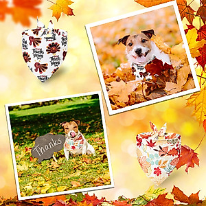 12 Pieces Thanksgiving Pet Bandana Fall Dog Bandanas Dog Fall Clothes Accessories Maple Leaf Pumpkin Patterned Autumn Pet Triangle Scarf Bibs for Large Small Dog Kerchief Cat Pet Fall Outfit Washable