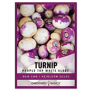 Turnip Seeds for Planting (Purple White Top Globe) Heirloom, Non-GMO Vegetable Variety- 1 Gram Seeds Great for Summer, Fall and Winter Gardens by Gardeners Basics