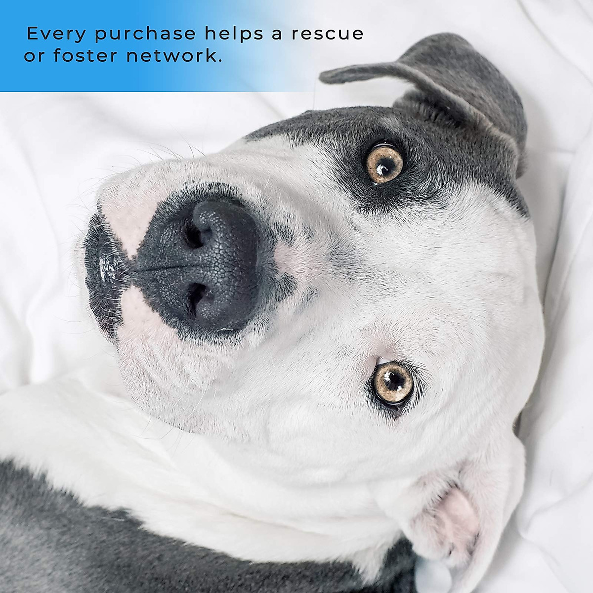 Wooflinen Premium 100% Viscose Derived from Bamboo 4pc Sheet Set - Full - Deep Pocket Fitted up to 16 Inch - Breathtakingly Soft and Cool Sheets in Matte White