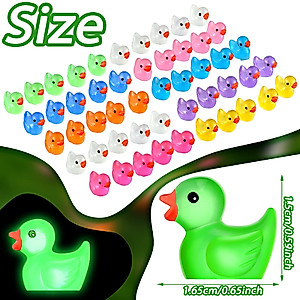 Queekay 50 Pcs Mini Resin Ducks Luminous Tiny Ducks Miniature Duck Glow in The Dark Ornament for Dollhouse Garden Decoration DIY Craft Micro Landscape Aquarium Party Decor