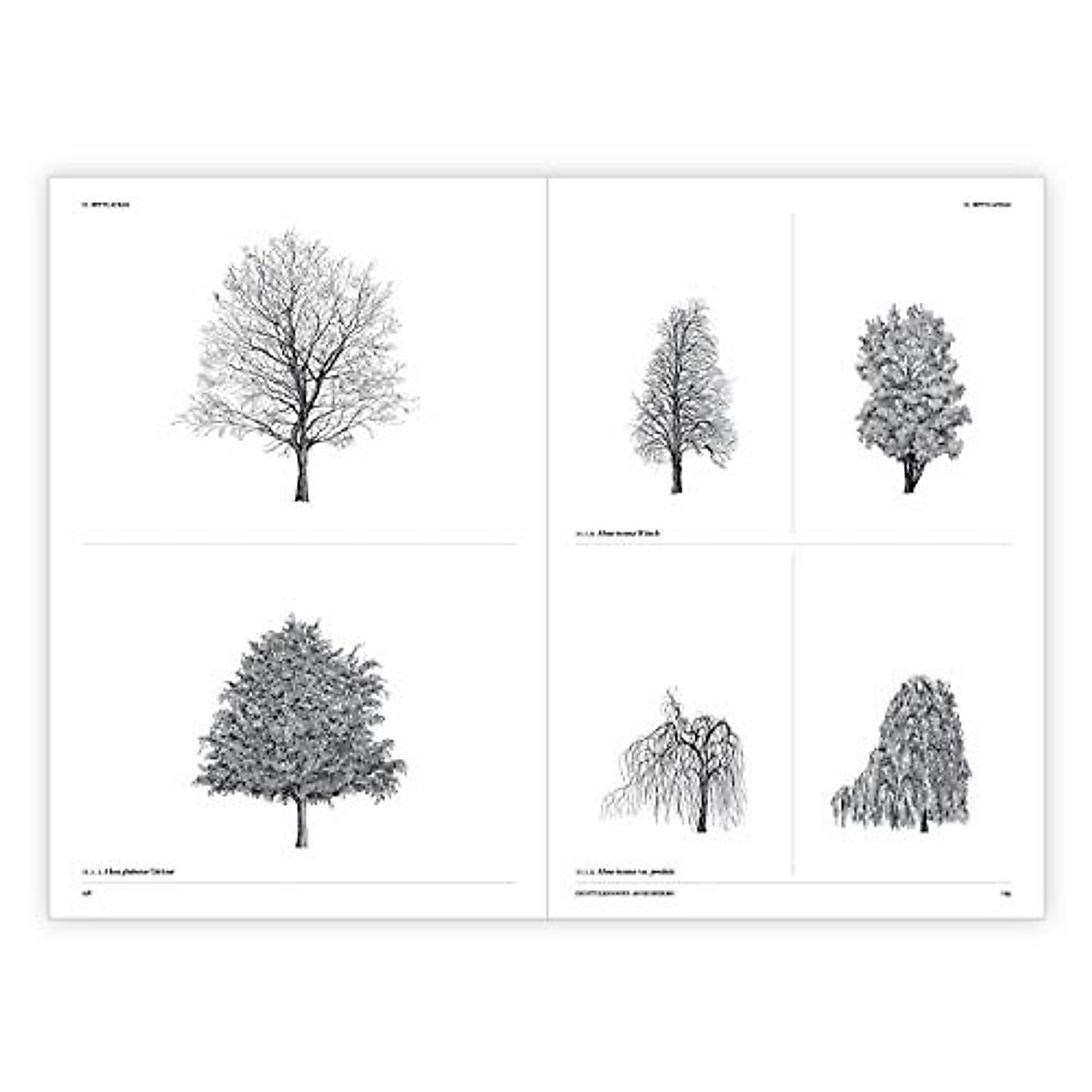 The Architecture of Trees