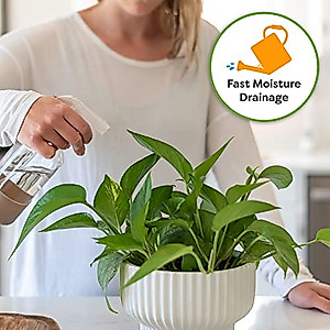 Perfect Plants Organic Pothos Soil | Horticultural Potting Mix for All Indoor Potted Pothos | Grow Healthy houseplants Indoors (4qts.)
