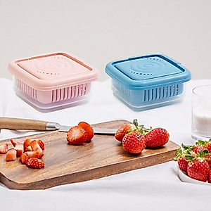 Food Storage Containers with Lids Fridge Berry Storage Container with Lid/Strainer Fresh Produce Saver Keeper for Scallion Ginger Garlic Vegetable Fruit Meat Lettuce