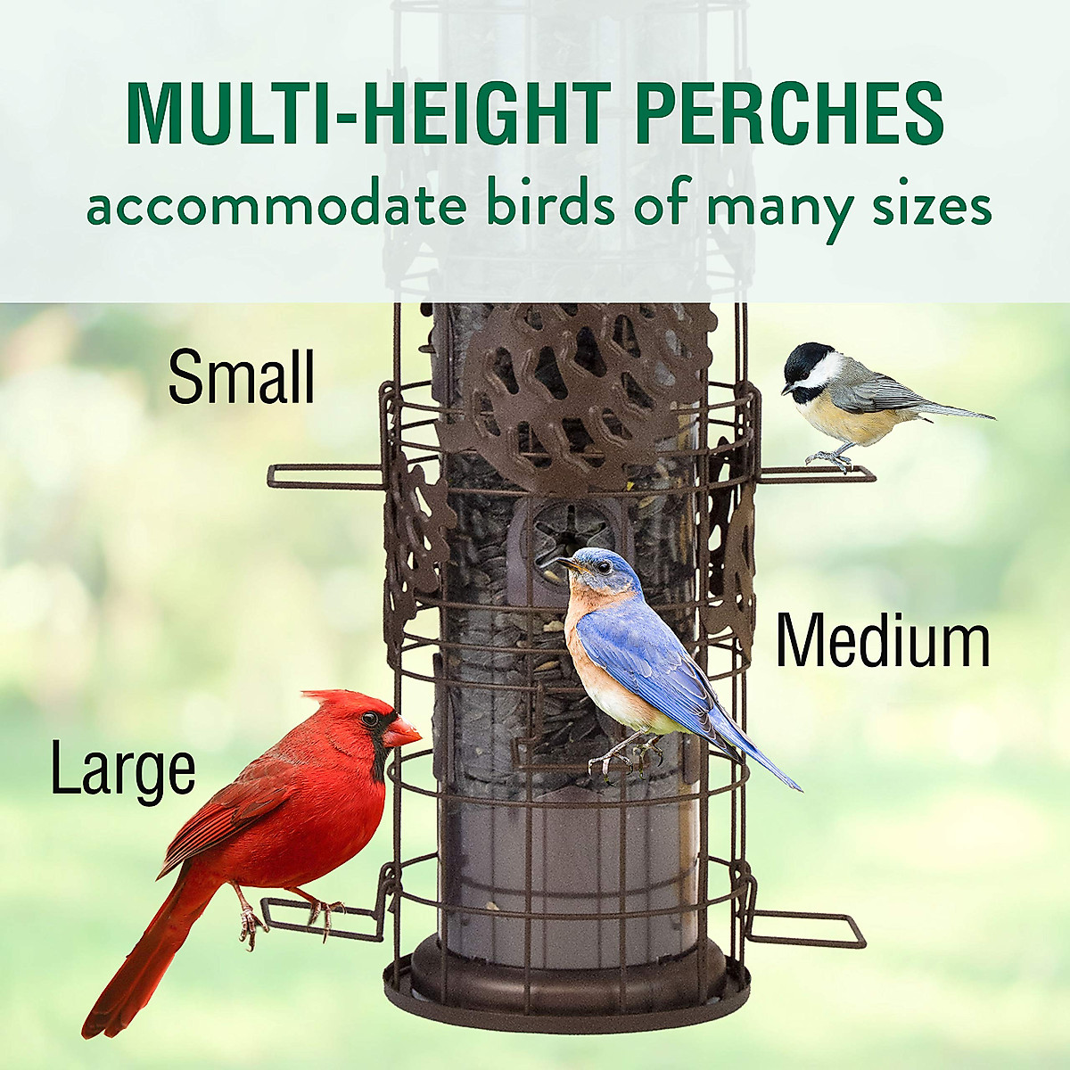 Perky-Pet SBG101 Squirrel Off Max Pinecone Bird Feeder with Flexports – 1.75 lb Capacity