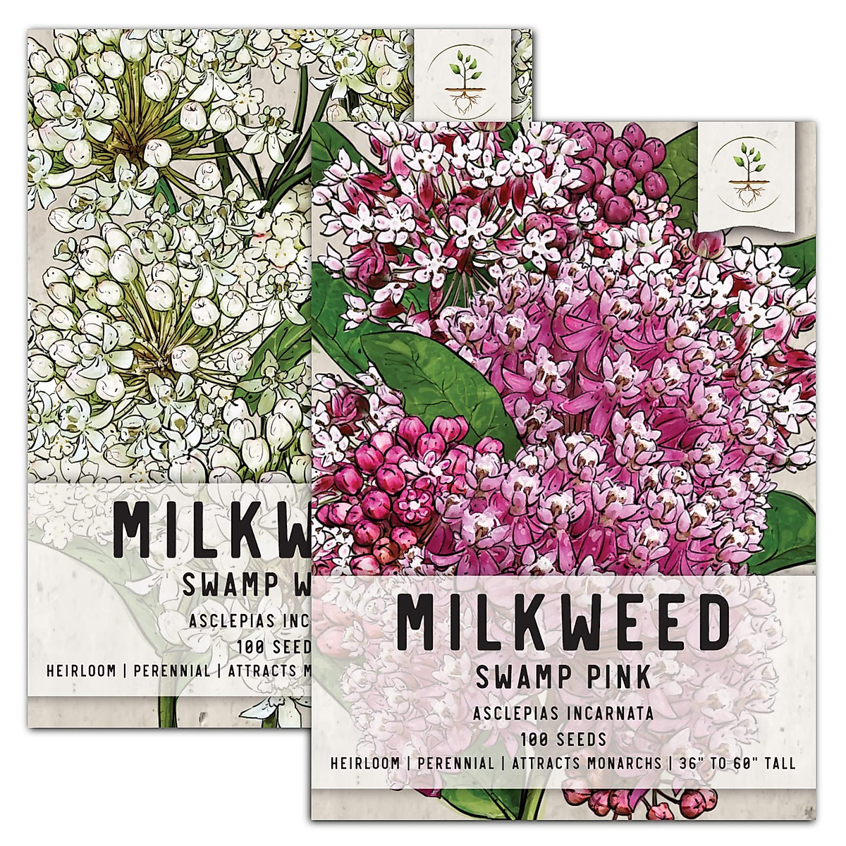Seed Needs, Swamp Milkweed Seed Packet Collection (2 Varieties of Asclepias for Planting and Attracting Monarch Butterflies) Heirloom, Untreated & Open Pollinated
