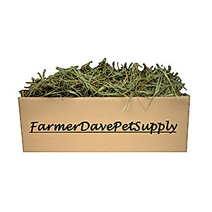 5 Lb Second Cut Timothy Hay, Bunny, Guinea Pig and Chinchilla Hay