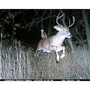 Cuddeback Cuddelink 2 Long Range IR Remote Cameras L Series 2 16GB SD Cards and 1 Hunters Warehouse Hat