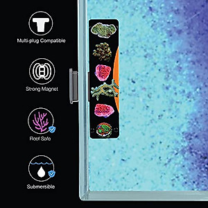 ESHOPPS Alpha Rack Nano Magnetic Coral Frag Rack with Strong Anti-Slip Rubber Padded Magnet for Nano Reef Tanks, Holds 6 Frags