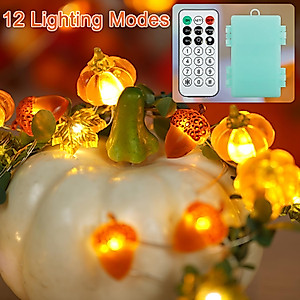 BOHON Thanksgiving Decoration Acorn 3D Pumpkin Maple Leaf String Lights Battery Operated with Remote 10ft 30 LEDs Orange Fall Lights for Home Autumn Garland Harvest Halloween Party Christmas Decor