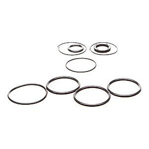 REPLACEMENTKITS.COM - OMC Cobra Stern Drive Seal Kit Replaces 0985060 985060 & 3854247 Trim & Tilt Cylinder Kits -