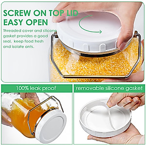 Qianfenie 1 Pack 1.5 Gallon(5700ML) Glass Jar with Screw Lid, BPA Free and Dishwasher Safe, Wide Mouth Glass Canister with Stainless Steel Handle, Large Mason Jar for Kitchen Food Storage