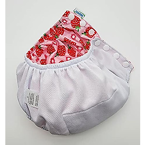 ISABBE Reusable Swim Diaper for Babies & Toddlers - Perfect Nappy for Swimmers in Pool or Beach - Great for Little Boys and Girls. (Pack of 2, Large Pink Strawberry)
