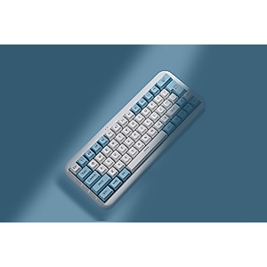 KOLMAX 60% Wireless Gaming Keyboard,Ultra-Compact 2.4G Rechargeable RGB Gaming Keyboard,with Detachable Wrist Rest Backlit Ergonomic 63 Keys Keyboard for Windows Mac PC Xbox PS4 Gamers(Whiteblue)…