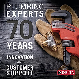 Delta Faucet RP72565SS Cassidy Tub Spout/Pull-Up Diverter, Stainless,0.5