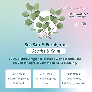 Therapy Clean Dish Soap, 100% Natural Fragrance, Plant-Based Dishwashing Liquid (Sea Salt & Eucalyptus (Soothe & Calm), 16 oz (1-pack)