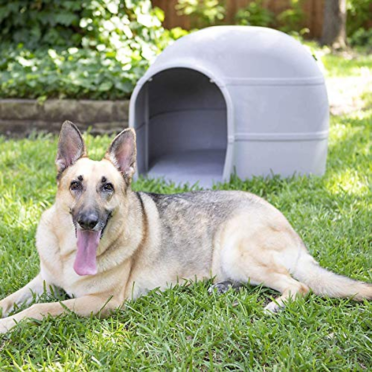 Petmate Husky Dog House for Dogs Up to 90 Pounds, Grey