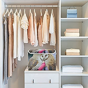 Kigai Storage Basket Cute Owl Storage Boxes with Lids and Handle, Large Storage Cube Bin Collapsible for Shelves Closet Bedroom Living Room, 16.5x12.6x11.8 In
