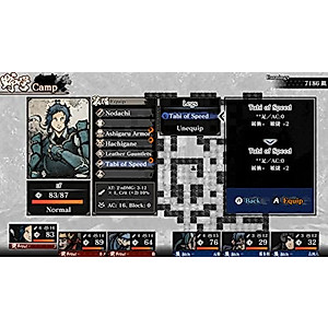 Labyrinth of Zangetsu