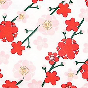 KYOETSU Baby Girls Kimono Rompers Hakama Coverall (3M(Japanese Size 60), Plum Off-White)