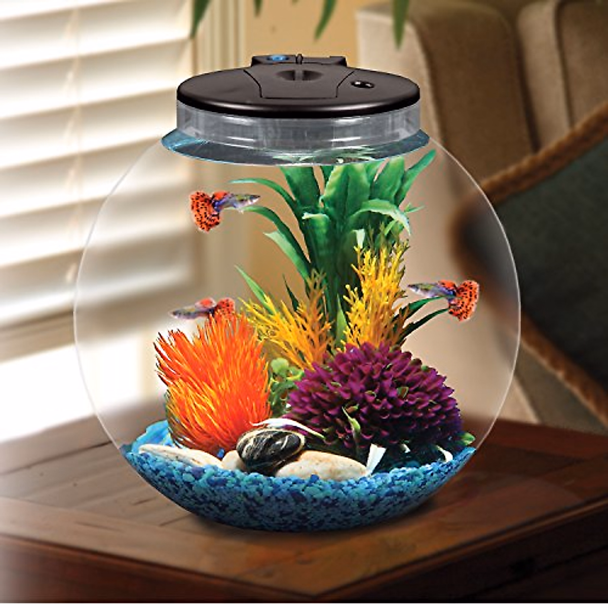 Koller Products AquaView 3-Gallon Fish Tank with Power Filter and LED Lighting