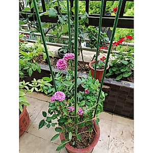 G-LEAF Sturdy Metal Garden Stakes 4 Ft Plastic Coated Steel Tube Plant Sticks for Tomato,Cucumber,Strawberry, Bean,Tree,Pack of 50