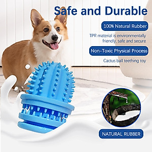 Lykani Dog Chew Toys for Small Dogs, Tough Dog Toys for Aggressive Chewers, Indestructible Durable Interactive Dog Toys, Rubber Dog Toys for Puppy Christmas Easter Birthday Gifts, Blue