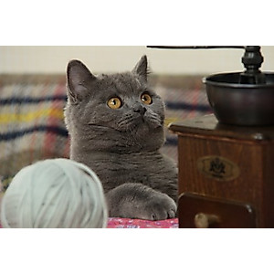 Canon EF-S 18-200mm f/3.5-5.6 IS Standard Zoom Lens for Canon DSLR Cameras - Grey Market non US Lens