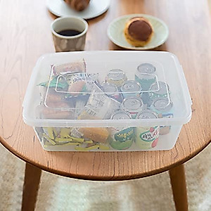Neadas 16 L Clear Plastic Storage Bin with Lid, 6 Packs