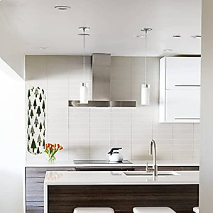 BEST BODDY plastic bag bracket Wall mounted sundry bag organizer Large capacity shopping bag storage Pet waste transport bag receiver Can be cleaned (green), 22*8.3in