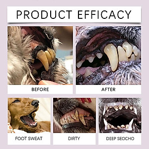 Wmool 2 Pack Pet Toothbrush Pen, Dog Teeth Cleaning Pen, Dog Tartar Remover for Teeth, Cat/Dog Tooth Whitening & Cleaning, Natural Plant Substance-Pet Teeth Repairing Kit