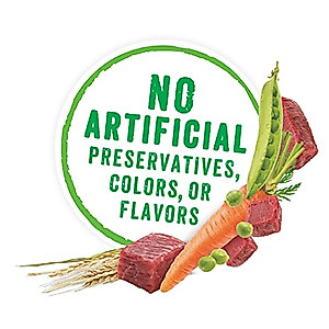 Purina Beneful High Protein, Gravy Wet Dog Food, Prepared Meals Beef Stew - (8) 10 oz. Tubs