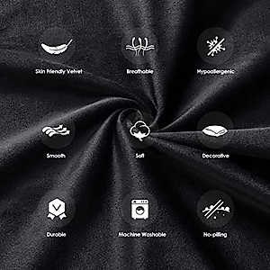 Homelike Moment Throw Pillow Covers 12x20 Set of 2, Black Velvet Decorative Couch Pillow Cover Soft Lumbar Cushion Cases for Sofa Bed Car (12x20 Inch, Black)