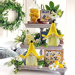 Godeufe Set of 2 Summer Gnomes Plush Banana Spring Decorations Gift Fresh Fruit Handmade Elf Dwarf Figurines for Home Farmhouse Tiered Tray Holiday Festival Party Scandinavian Tomte (Banana)