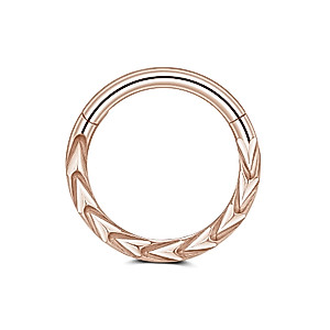 JINSAWW 16G Septum Hoop Segment Nose Rings Surgical Steel Helix Rook Conch Cartilage Nose Septum Seamless Hinged Clicker Ear Piercing Jewelry