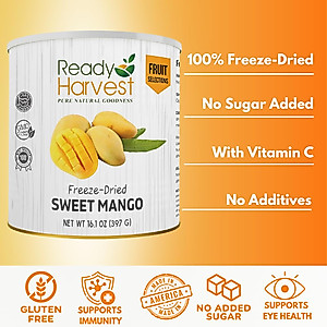 Ready Harvest Freeze-Dried Mango Freeze-Dried Fruit, Freeze-Dried Food Gluten Free Snacks, Fruit Snacks, Canned Food, Bug Out Bag Camping Essentials, Veggie Snacks #10 Can, 25-Year Shelf Life 397g
