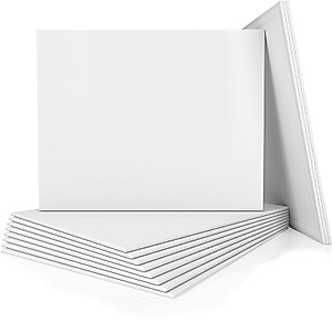 AETEXA Canvases for Painting 8x10 Inch, Canvas Bulk Pack of 12, 8 oz Primed Canvas Panel, Blank Canvas for Painting, Canvas Boards for Painting Acrylic and Oil, Art Supplies for Adults and Teens.