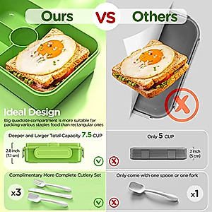 DaCool Kids' Bento Box Toddler Lunch Box for Kids 7.5 Cup 4-Compartment Leakproof with Fork Spoon School Lunch Containers for Meal Snack, Microwave & Dishwasher Safe, BPA Free, Green