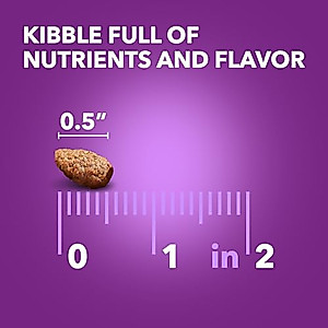 IAMS Advanced Health Immune Health Adult Dry Dog Food Chicken & Exclusive Superfoods Medley Recipe, 13.5 lb. Bag