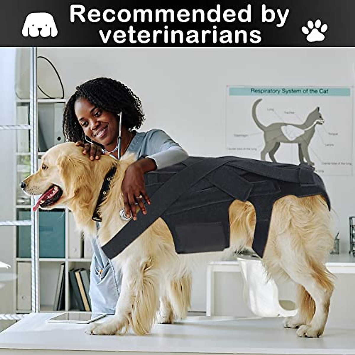 LAMPTOP Dog Back Brace for Dogs Arthritis, Pet Back Bracer for IVDD, Back Protector Helps Pain Relief, Surgical Recovery and Rehabilitation, Dogs Back Disease Prevention.